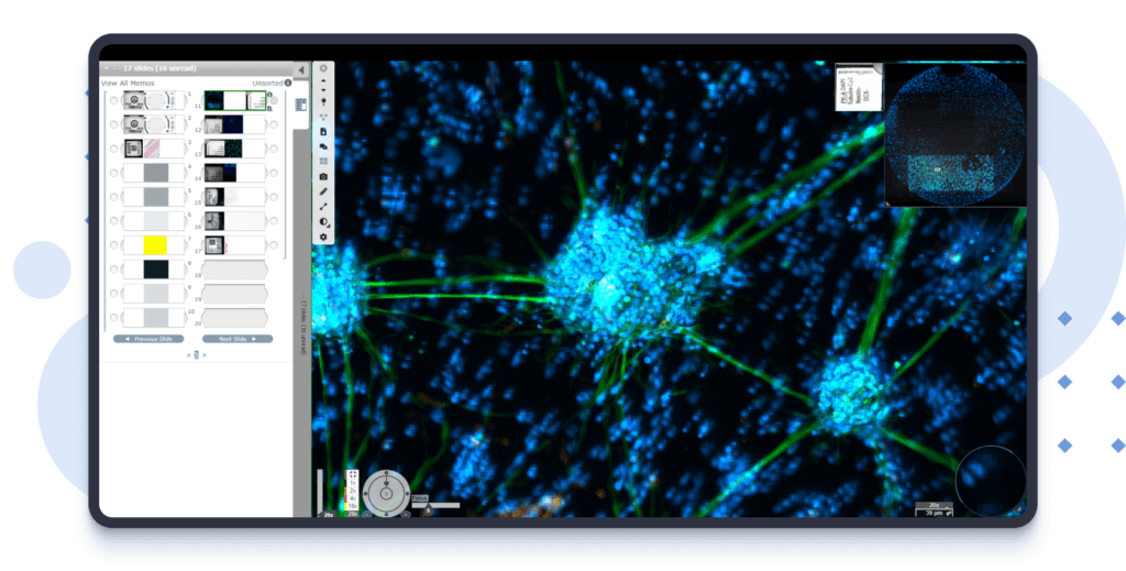 Upgrading a software for the tissue scanner with hi-rez scans - Case ...
